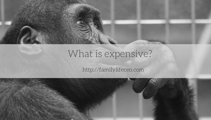 Beyond the price tag: how do you decide that something is expensive ...